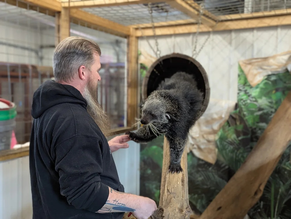 VIP Animal Encounter Experience | Paws and Claws Encounters